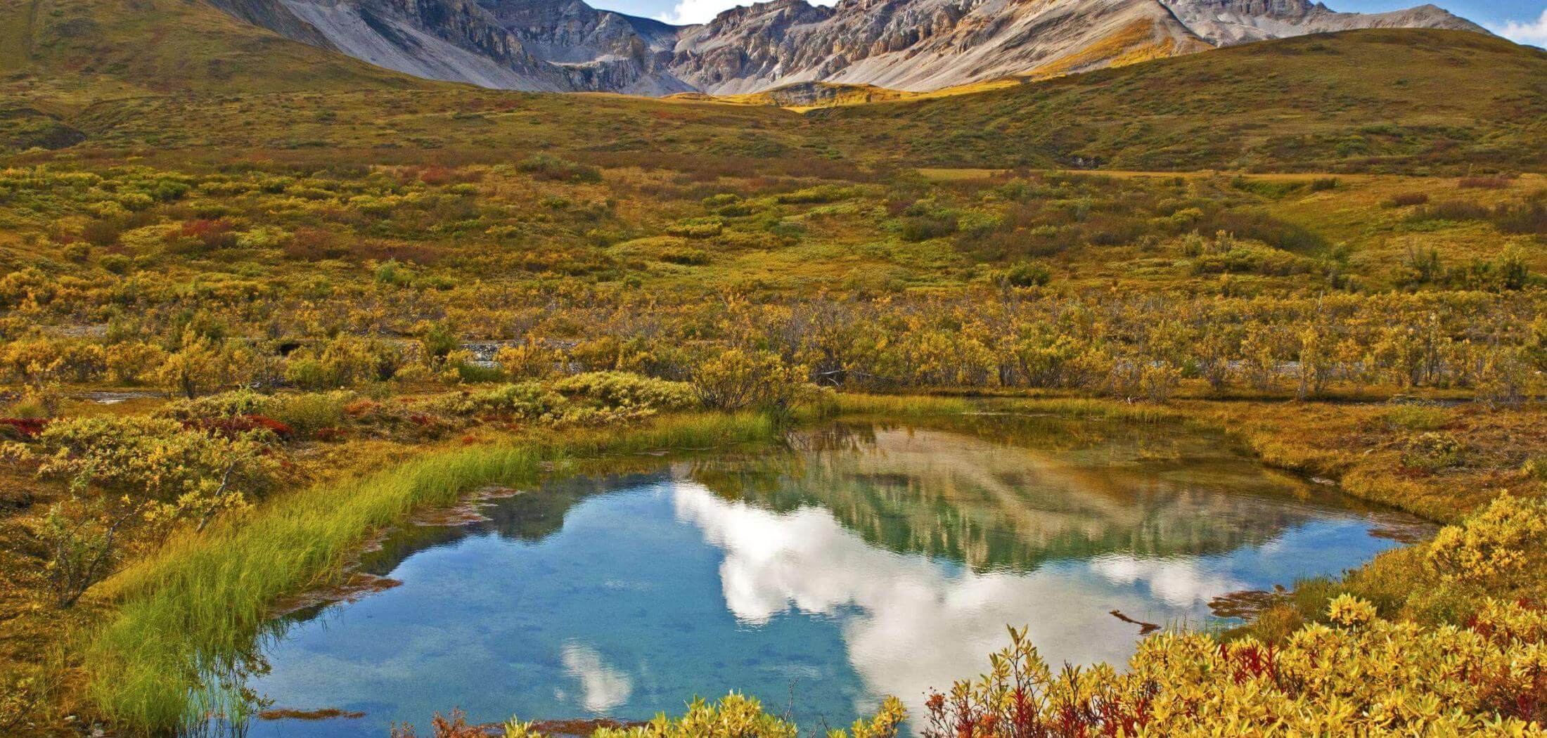 Resources | Travel Media