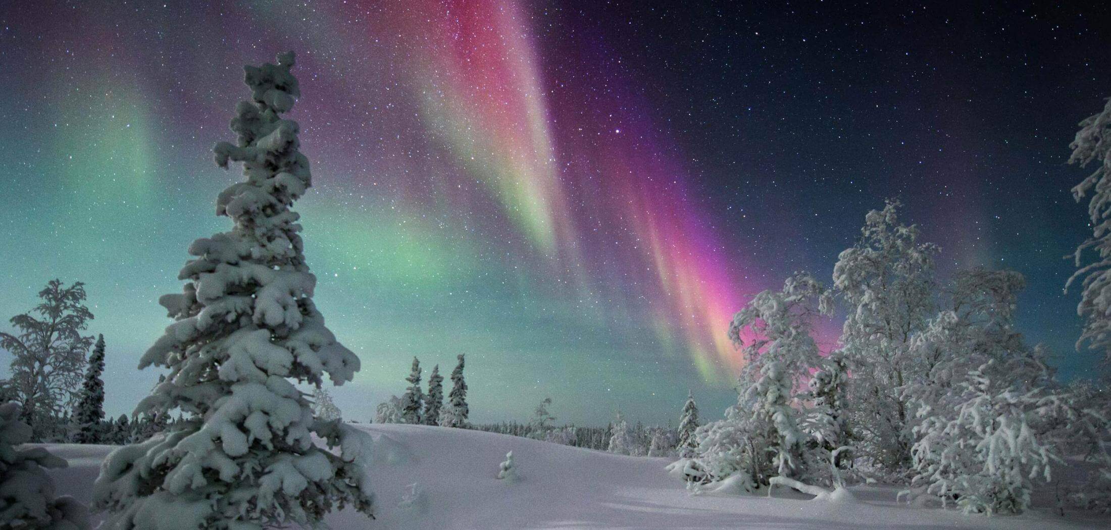 Winter Aurora | Travel Media