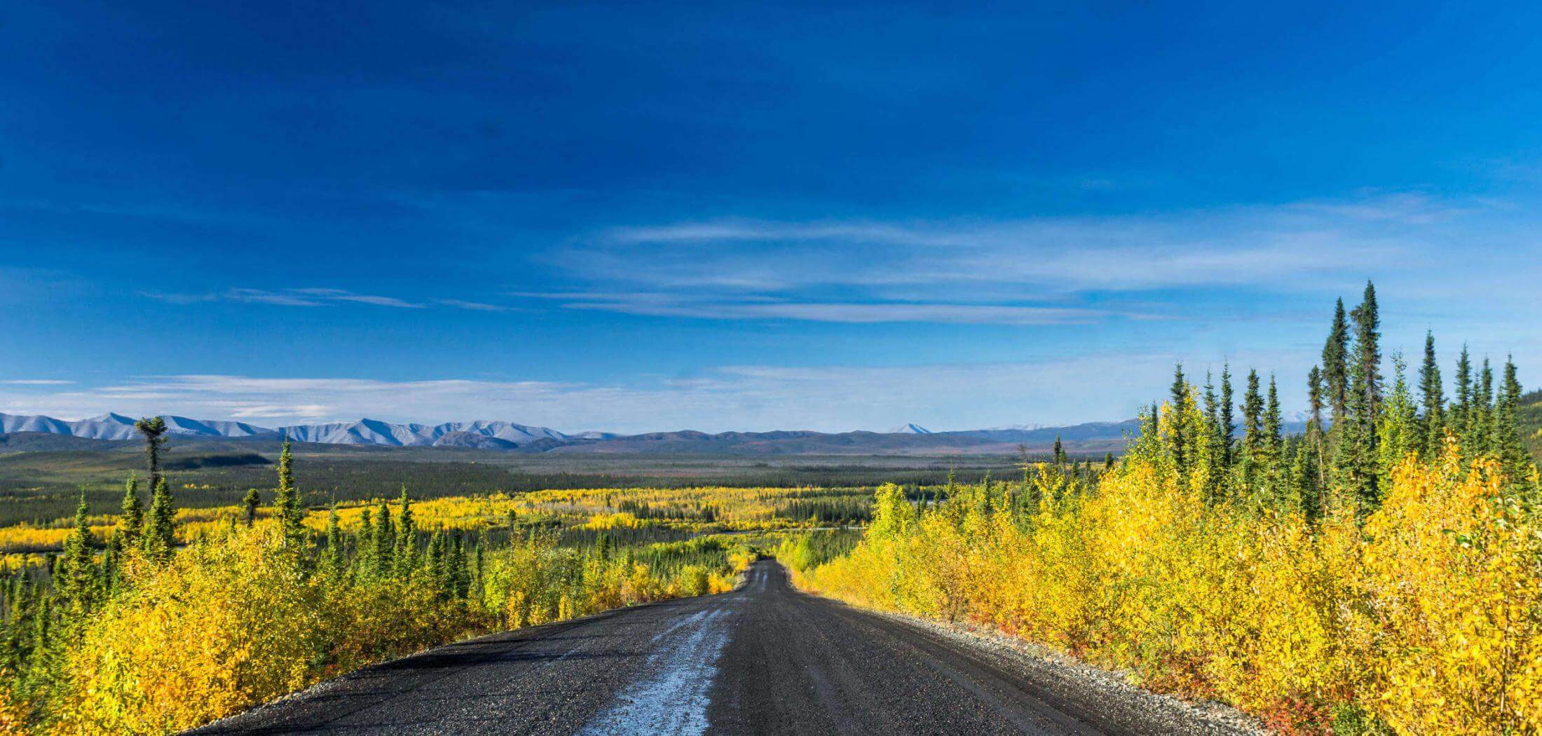 Prepare for Your Trip | Travel Media