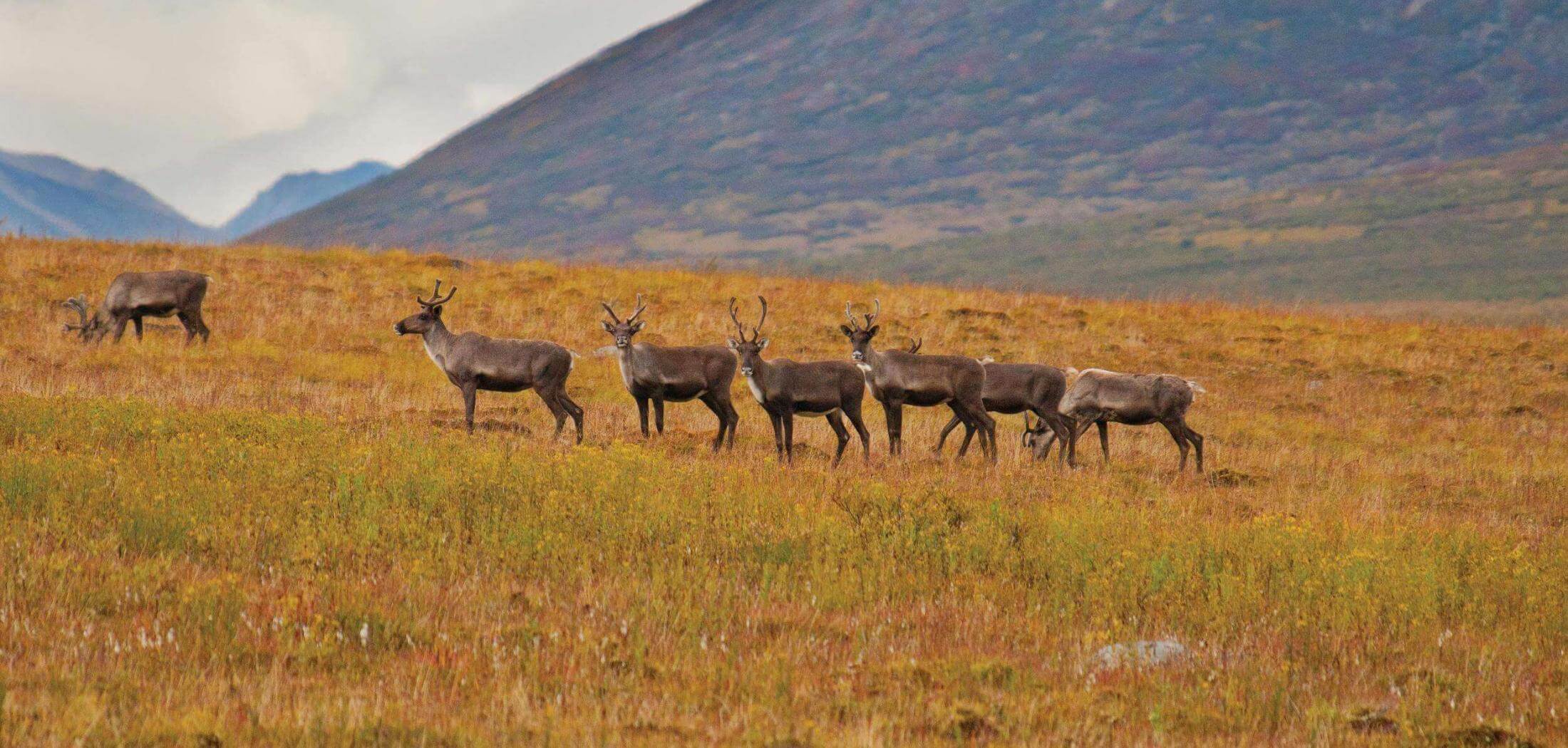 In the Media | Travel Media