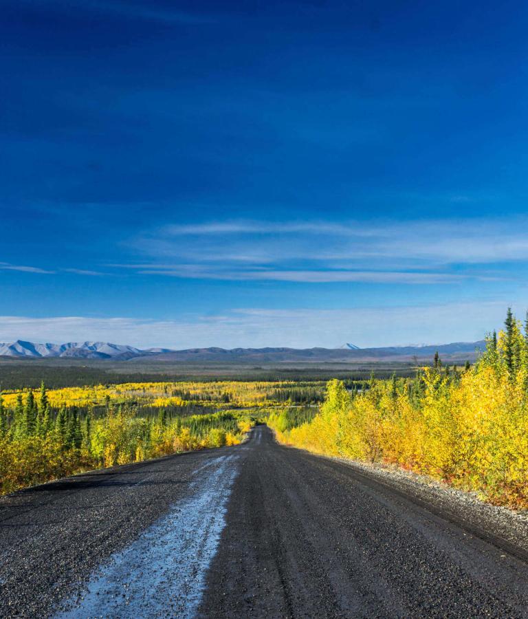 Prepare for Your Trip | Travel Media